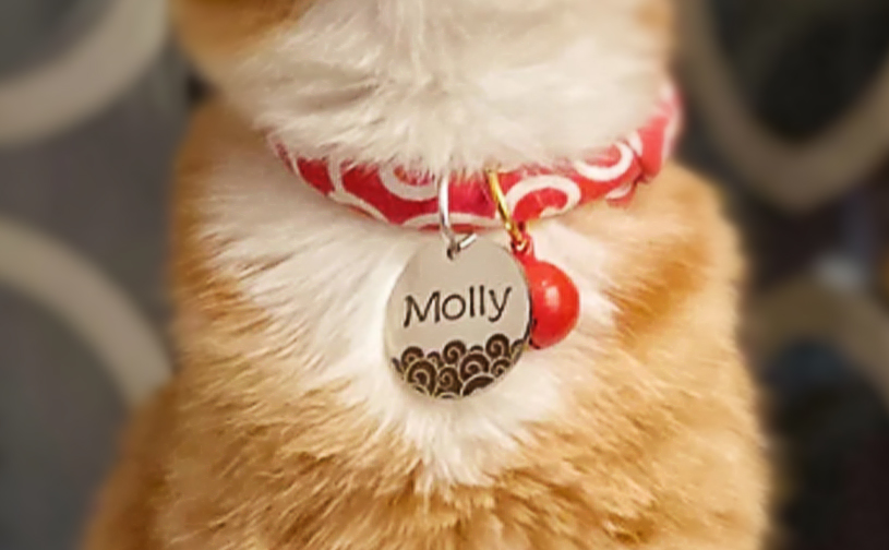 How to Choose the Right Dog Tag Engraving Machine for Your Needs ...